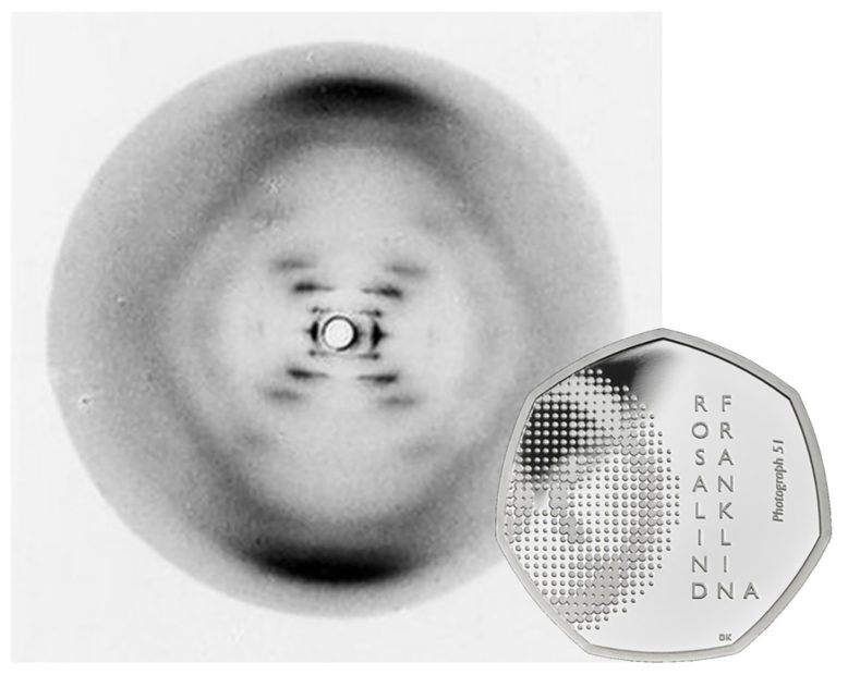 Rosalind Franklin: Scientific Pioneer – Speakeasy News